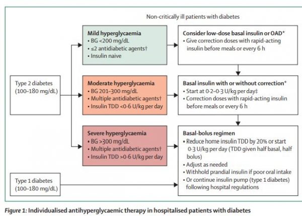 Updates to Diabetes Care in Hospital Setting - Diabetes Education Services