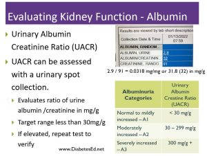 From Dipsticks to GFR - How to Evaluate Kidney Function - Diabetes ...