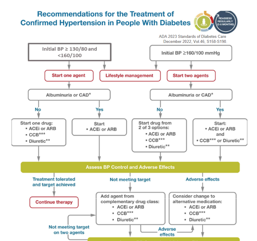 Ada Guidelines 2023