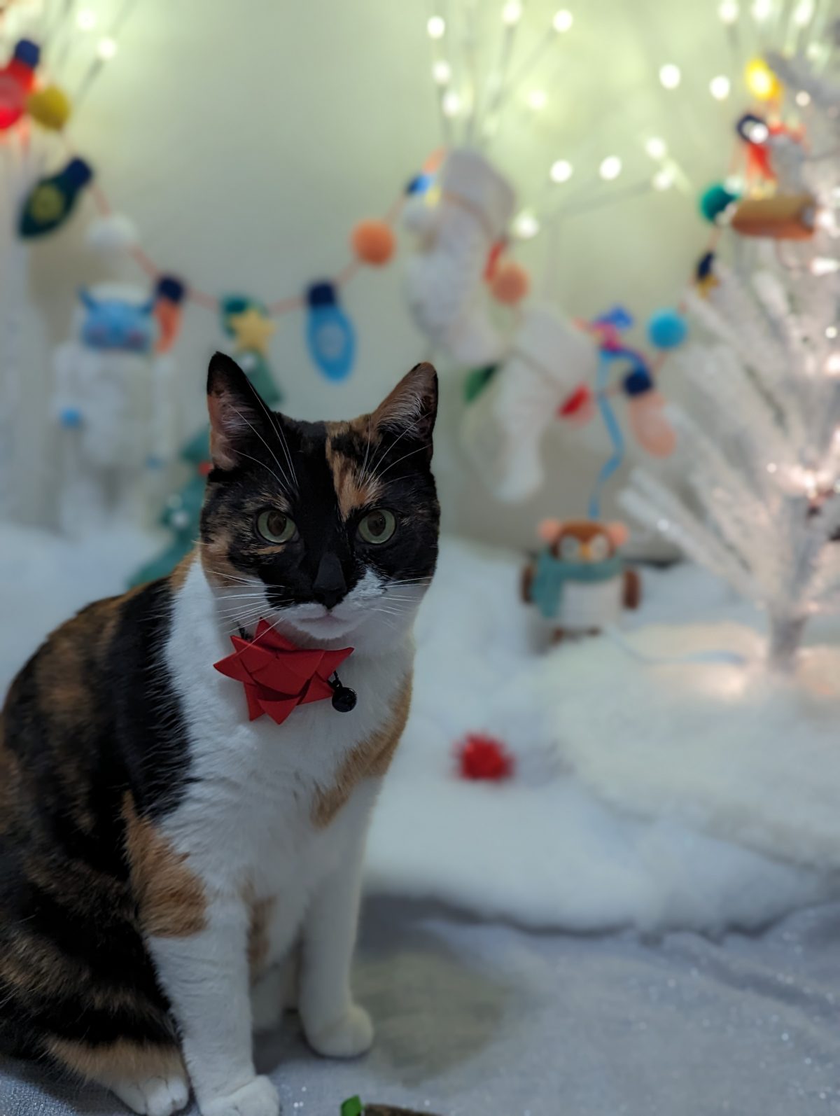 Happy Holidays from the Cat Bakery - Diabetes Education Services